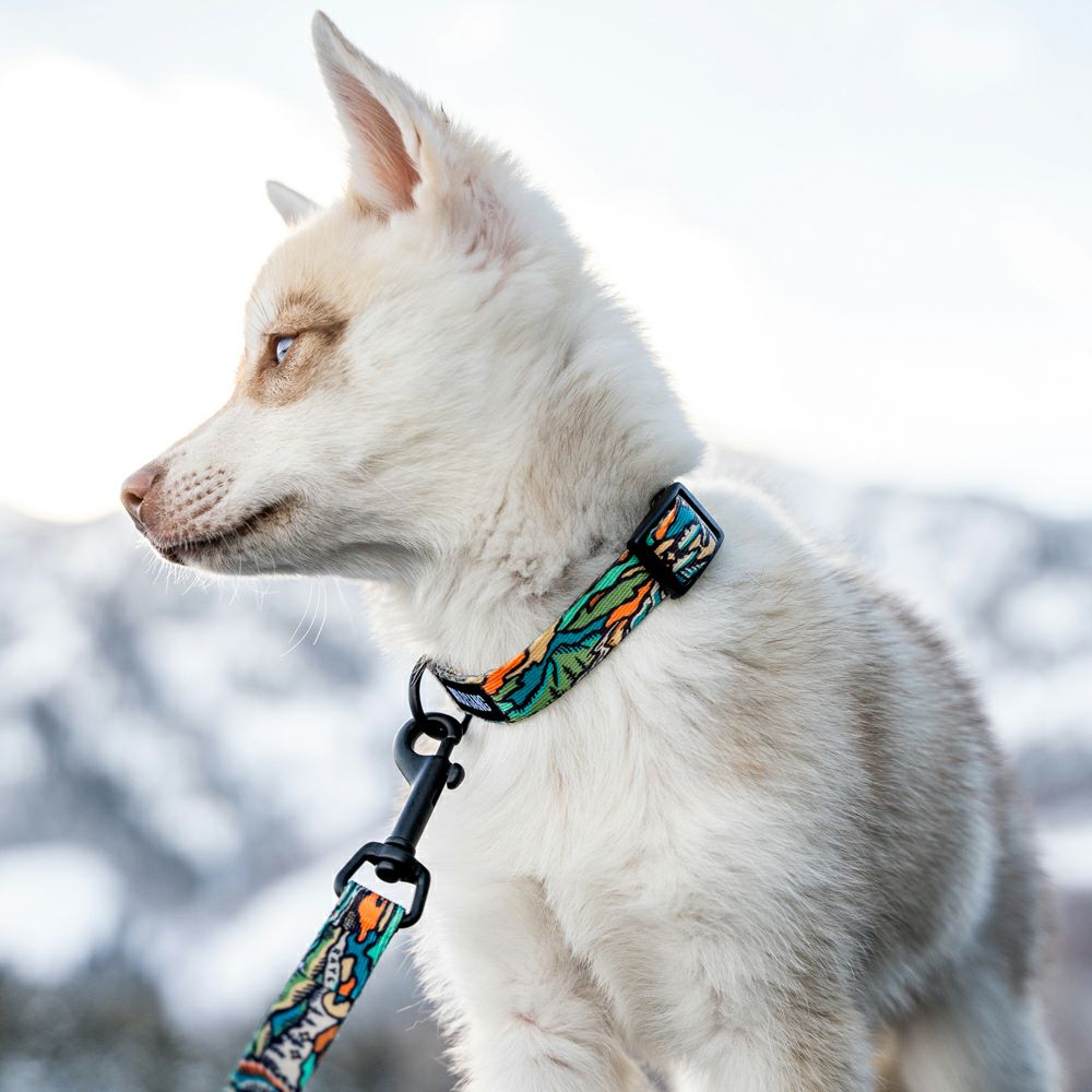 WildWolf | WOLFGANG